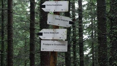 A turistautak színjelölése Lengyelországban