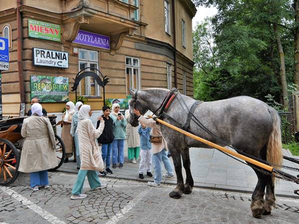 Egyre több az arab turista Zakopanéban, akik imádják a várost
